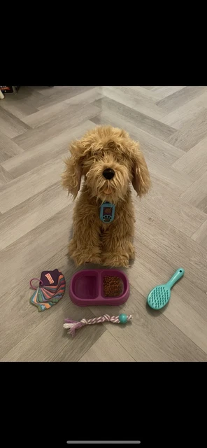 MY FUZZY FRIENDS Moji Interactive Labradoodle - Plush Interactive Dog ...