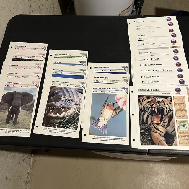 VINTAGE 90S WILDLIFE Fact File Explorer Binder Cards Only Mammals Birds ...