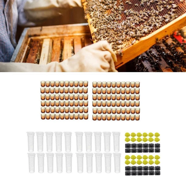 COMPLETE BEE QUEEN Rearing Cup Kit System Beekeeping Tools Set Box $9. ...