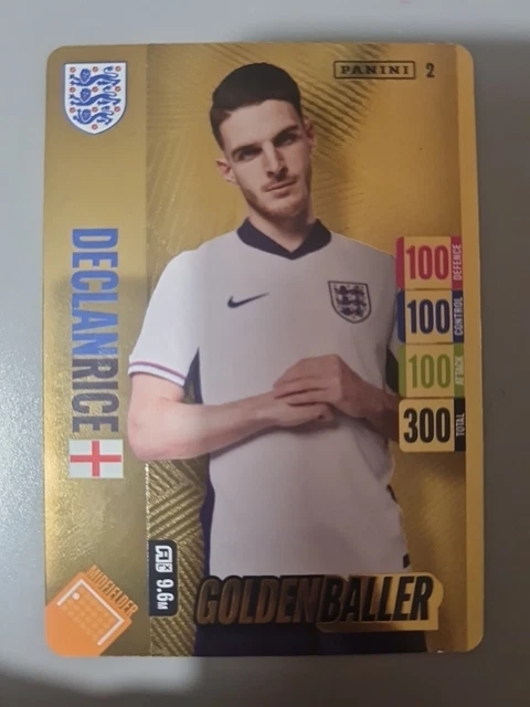 ADRENALYN TOURNAMENT 2024 England Rice Golden Baller N°2 EUR 11,00 ...