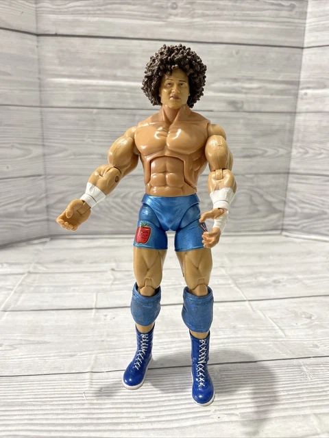 WWE WWF CARLITO Jakks Wrestling Deluxe Aggression Mattel Elite Action ...
