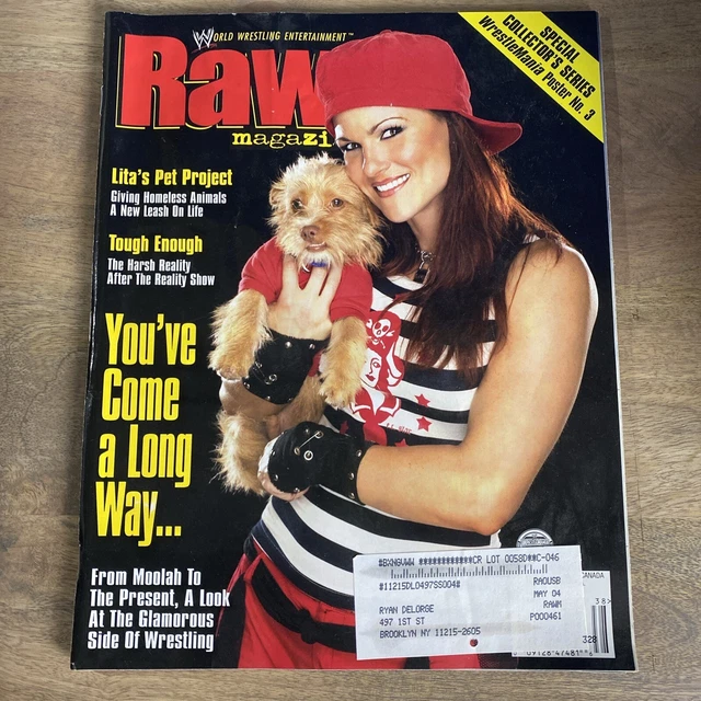 Wwe Divas Magazine FOR SALE! - PicClick UK