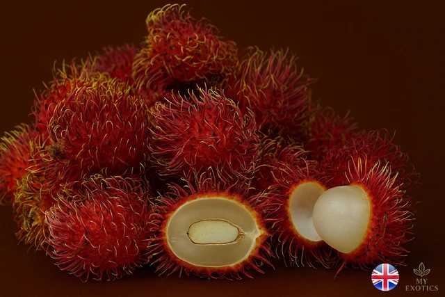 FRESH RAMBUTAN - Approx 500G - SUPER CLASS 1 £5.45 - PicClick UK