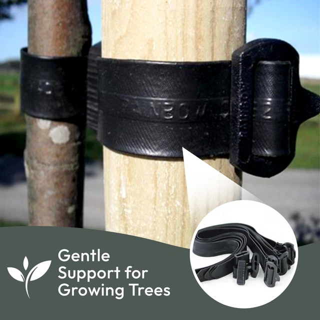 TREE TIES BUCKLE Straps 45cm + 60cm Rubber Plant Support Whip Bare Root ...