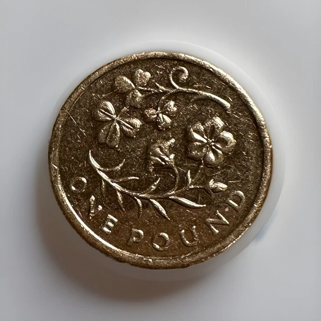 ONE POUND COIN £1 Rare Collectable British Coin Hunt*1983-2015*Coin ...