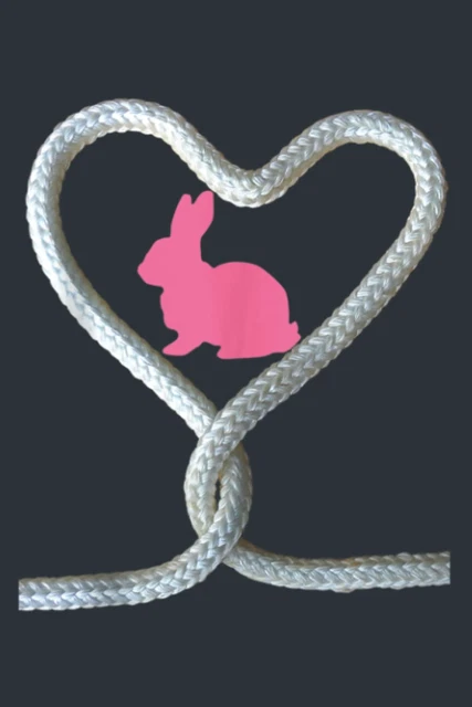 BDSM ROPE BUNNY Kinky Shibari Bondage: Notebook, 120 Pages $27.95 ...