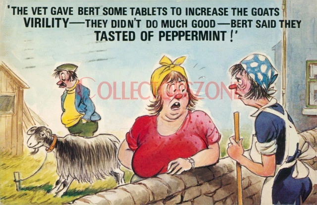 1981 BAMFORTH Black Triangle Comic Series Postcard No868 Vet joke ...