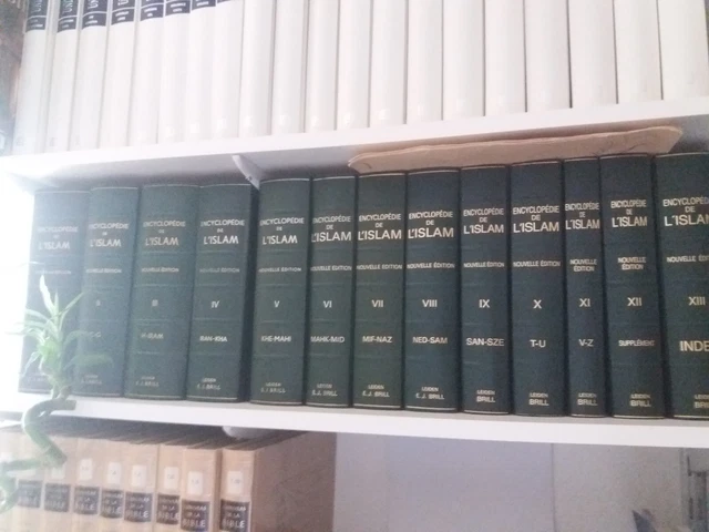 ENCYCLOPÉDIE DE L'ISLAM (Complet 13 volumes) EUR 3.800,00 - PicClick FR