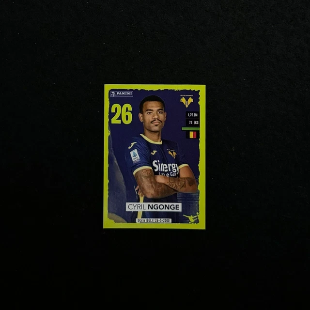 CYRIL NGONGE-HELLAS VERONA-STICKER-CALCIATORI Panini-2023/2024-N.202 ...