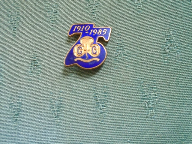 1910 - 1985 Girl Guide Guides Jubilee - Enamel Pin Badge £2.50 ...