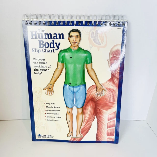 THE HUMAN BODY flip chart by learning resources 3d look On The Human ...