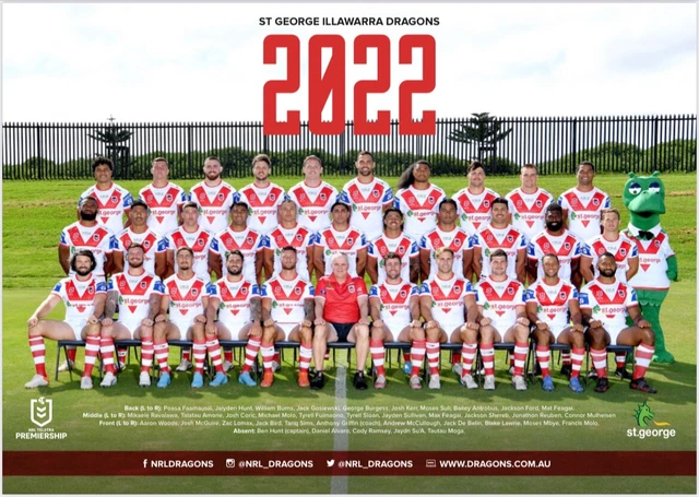 NRL RUGBY TEAM poster, St George Illawarra dragons, FREE POST, PANTHERS ...