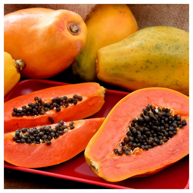 RED PAPAYA SEEDS Rare Dwarf Papaya Fruit Plants Outdoor Sweet Delicious ...