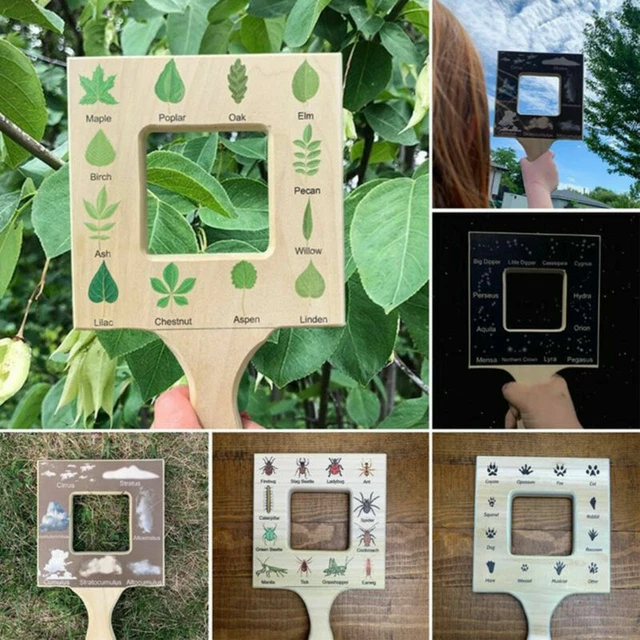 NATURE GUIDE FINDER Leaf Finder Viewer Cloud Identification Guide ...