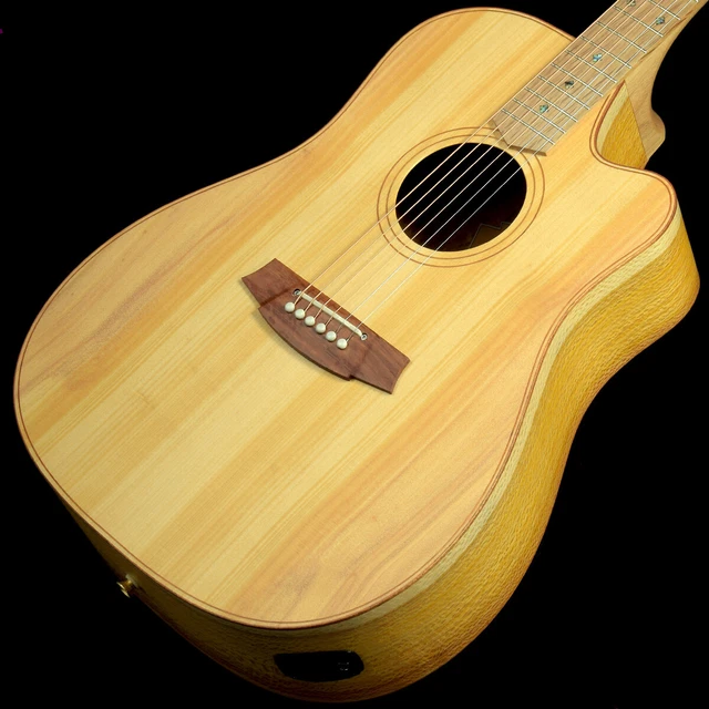 NUEVA GUITARRA ACÚSTICA Cole Clark/Fat Lady CCFL2EC-BSO S/N: 230142490 ...