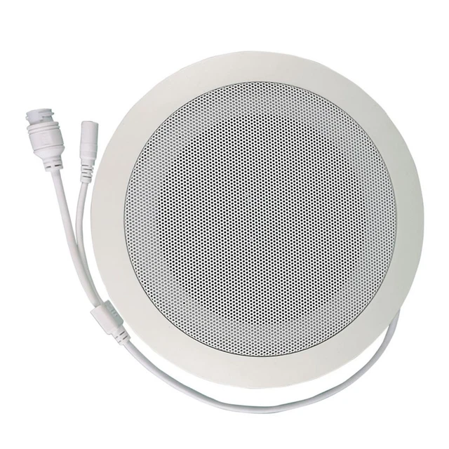 CEILING SPEAKER IP Public Address System Audio for Paging Speaker ...
