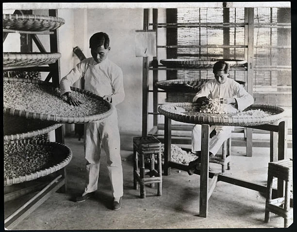 CHINA: MEN SORTING Cocoons For Silk Old Historic Photo EUR 6,18 ...