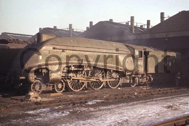 ORIGINAL 35MM COLOUR SLIDE BR STEAM A4 60032 UNKNOWN SHED EARLY 1960s ...