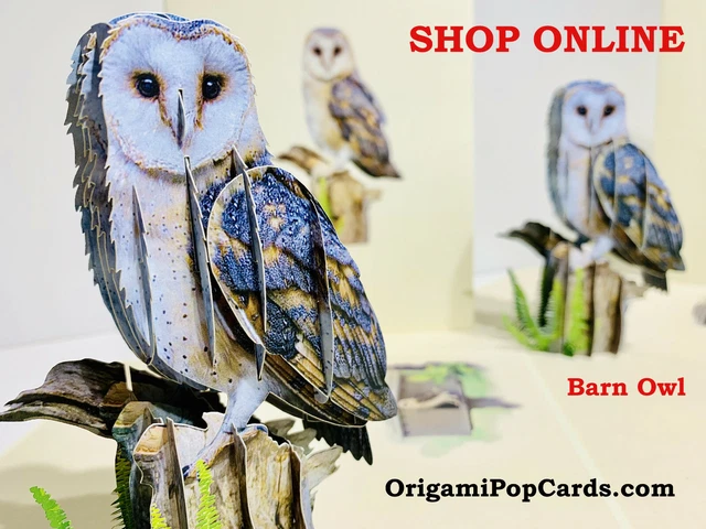 ORIGAMI POP CARDS Super Cute Barn Owl 3DPop Up Greeting Card Blank Fun ...