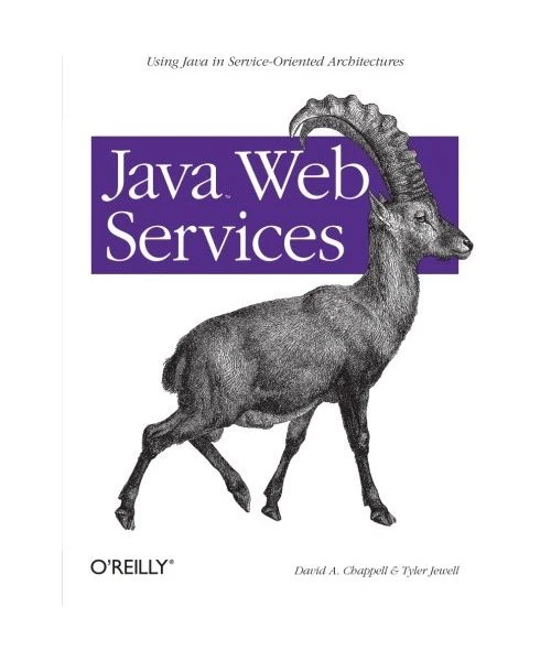 JAVA WEB SERVICES, David Chappell, Tyler Jewell EUR 8,01 - PicClick FR
