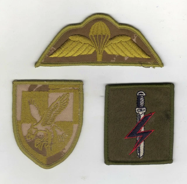 BRITISH ARMY PARA Wing+16 Air Assault+Sfsg Combat Jacket Trf/Patch ...