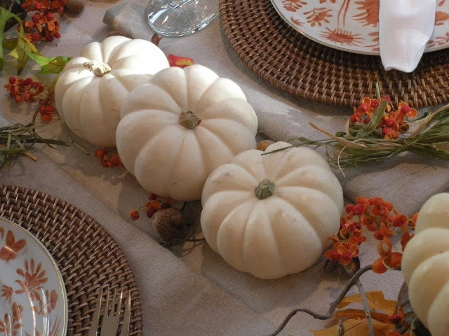 10 GRAINES MINI POTIRON BLANC(Cucurbita Pepo BABY BOO)H805 WHITE ...