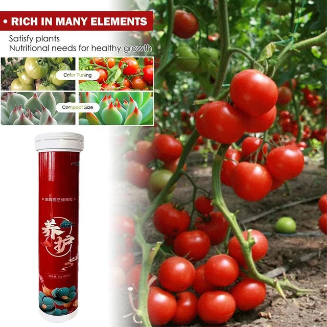 22PCS ORGANIC-CONCENTRATED SLOW-RELEASE Tablet Fertilizer Universal ...