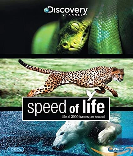 SPEED OF LIFE (Blu-ray) Speed of Life Blu Ray EUR 14,76 - PicClick IT