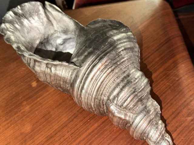 VINTAGE SILBER DEKO Kunst Dekor 14" Muschel Muschel EUR 40,61 - PicClick DE