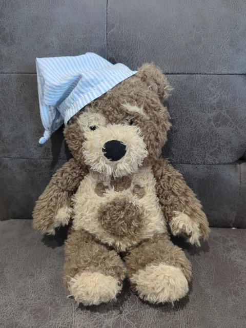 CBEEBIES LITTLE CHARLEY Bear Goodnight Talking Sleepytime Open & Closes ...