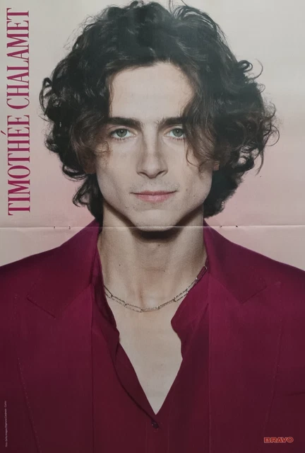 TIMOTHEE CHALAMET - A3 Poster (42 x 28 cm) - Clippings Collection BRAVO ...