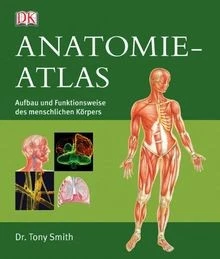 ANATOMIE-ATLAS: AUFBAU UND Funktionsweise des mensc... | Livre | état ...