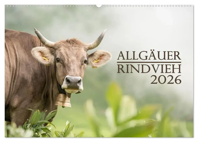 JULIANE WANDEL | Allgäuer Rindvieh 2026 (Wandkalender 2026 DIN A2 quer ...