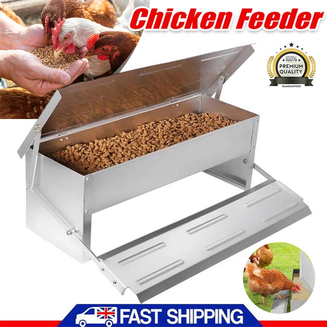 CHICKEN CHOOK FEEDER Automatic Treadle Poultry Self Opening Ratproof ...