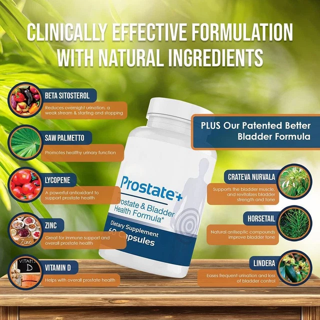 PROSTATE CAPSULE-PROSTATE & Bladder Health Formula Dietary Supplement ...