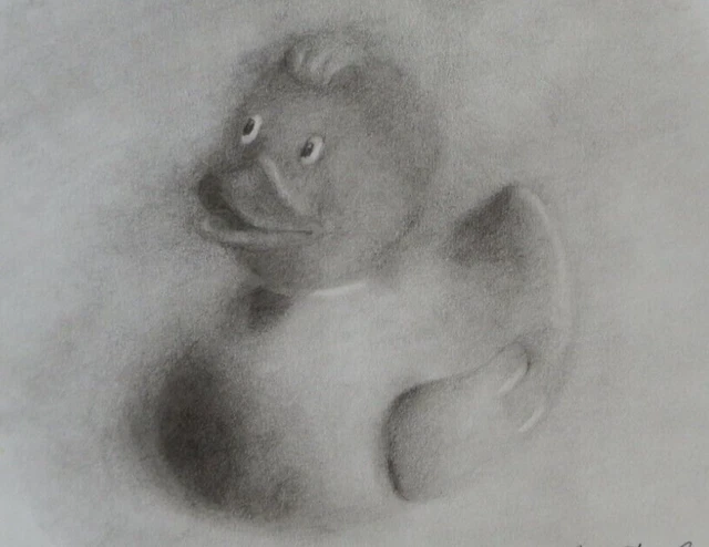 ORIGINAL HAND DRAWN pencil fine tonal pencil drawing of a rubber duck £ ...