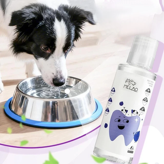 PET DENTAL FORMULA Water Additive, Odorless & Flavorless Formula to ...