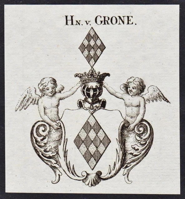 GRONE WAPPEN COAT of arms Adel Kupferstich Heraldik 1820 EUR 11,99 ...