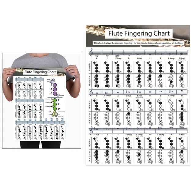 FLUTE CHART MUSIC Chords Poster Instrument Instructional for Learning ...