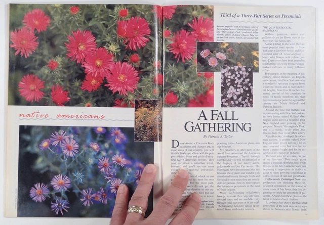 1991 JUN FLOWER & GARDEN home landscaping GARDEN PARTIES city garden ...