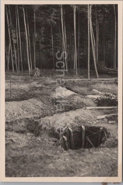 2 X FOTO, Wk2, Westwall, Stacheldraht und Splittergräben (MJ-196) EUR 4 ...
