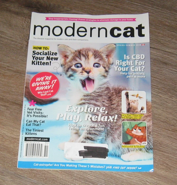 MODERN CAT MAGAZINE Spring Summer 2020 How To Socialize Your New Kitten ...