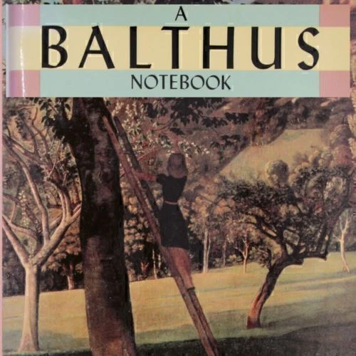 BALTHUS MOMA CONTROVERSÉ adolescent art moderne gars Davenport première ...