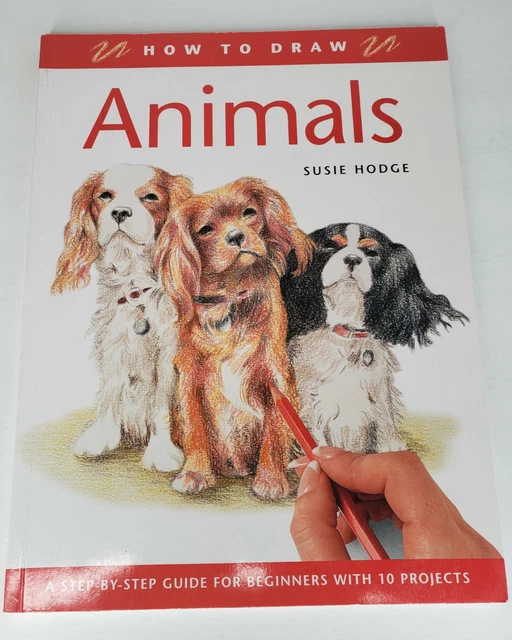 HOW TO DRAW Animals Step By Step Guide For Beginners 10 Projects BRAND