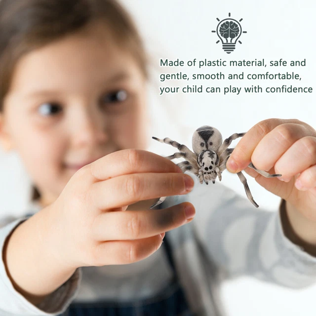 LIFE CYCLE OF Spider Life Cycle Figures Tarantula Figurine Life Cycle ...