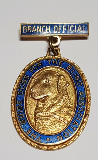 VINTAGE 1980S THE Guide Dogs for the Blind Association Enamel Badge ...