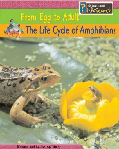 THE LIFE CYCLE of Amphibians: From Egg to Adult (Heinemann Infos £3.31 ...