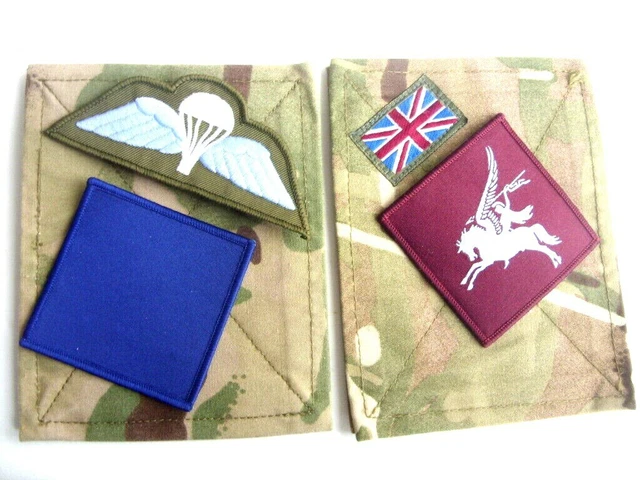 2 PARA - Parachute Regiment Mtp Panel Set ( Sas Sbs Srr ) Dz Trf #2 £14 ...
