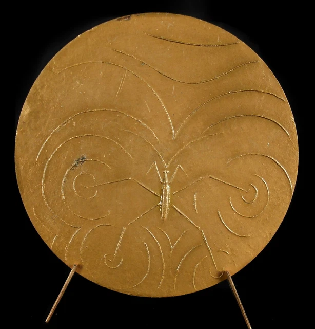 MÉDAILLE HYDROMETRA STAGNORUM araignée d'eau Hydromètre insecte animal ...