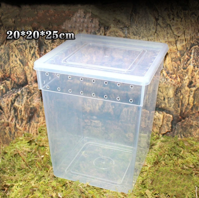 PRAYING MANTIS STICK Insect Arboreal cages Feeding Box Enclosure SIDE ...